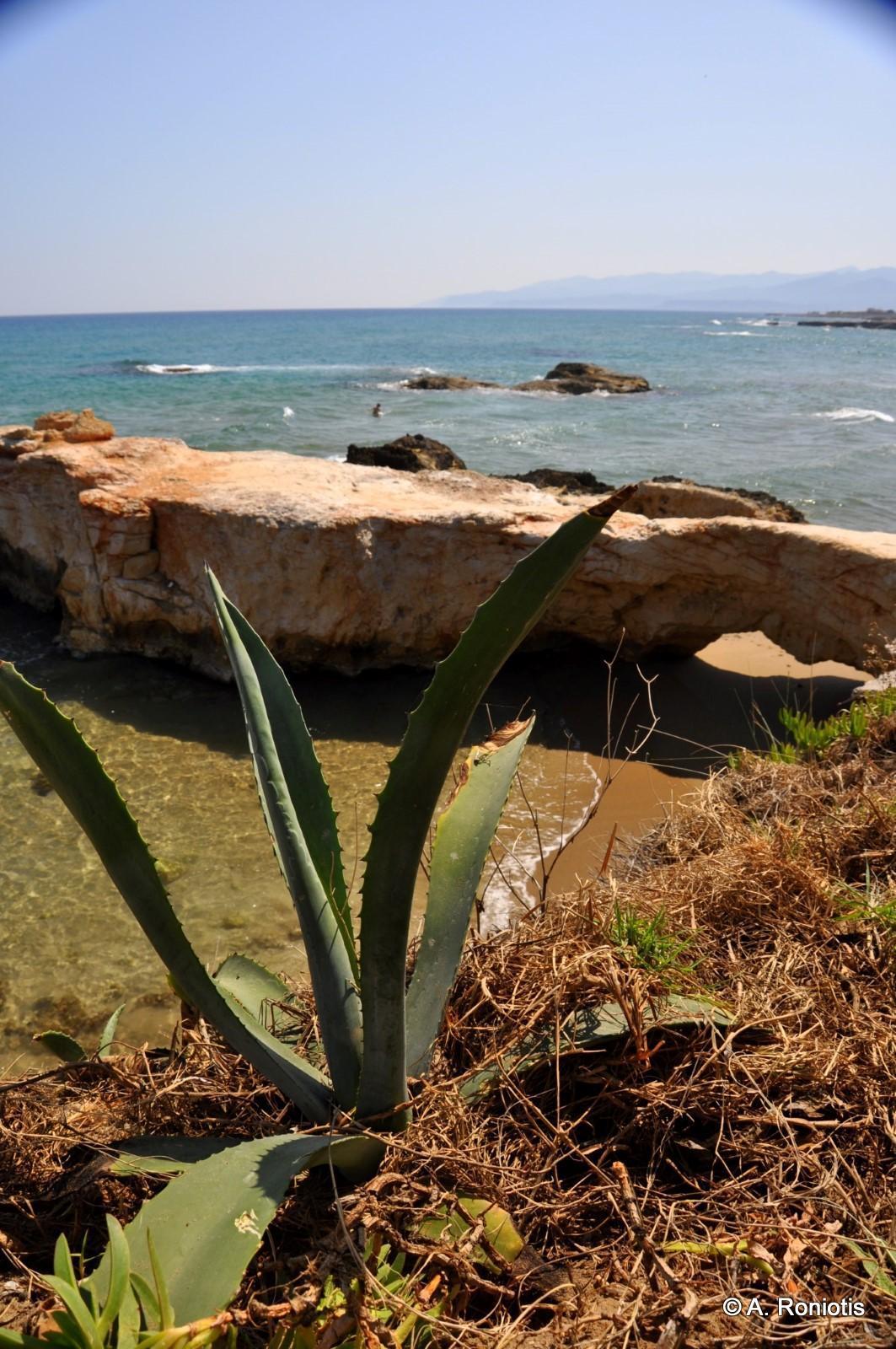 ⭐ Travel Guide for Island Crete ⛵, Greece - Drapanos beaches