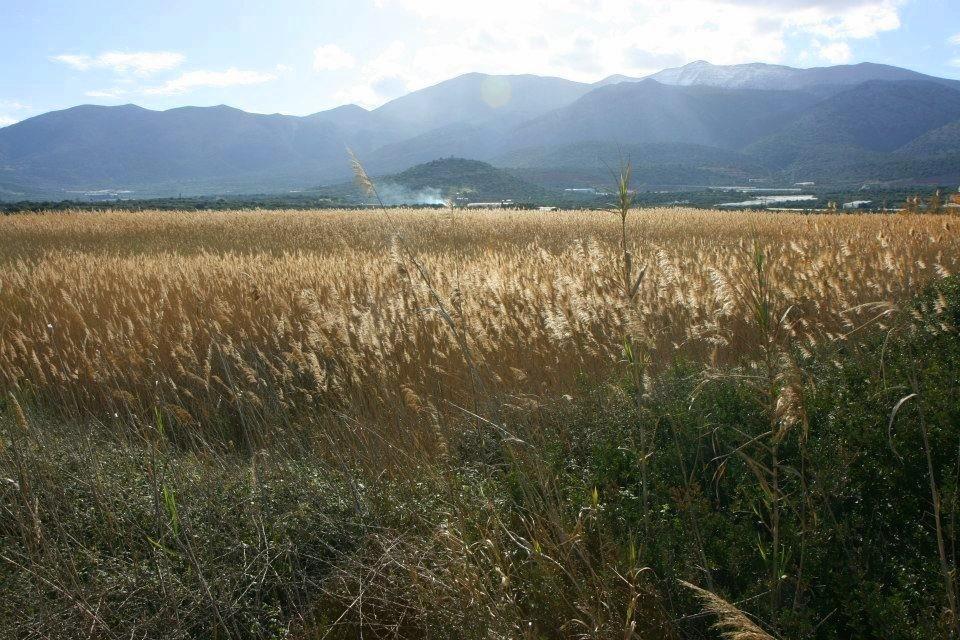 ⭐ Travel Guide for Island Crete ⛵, Greece - Potamos beach