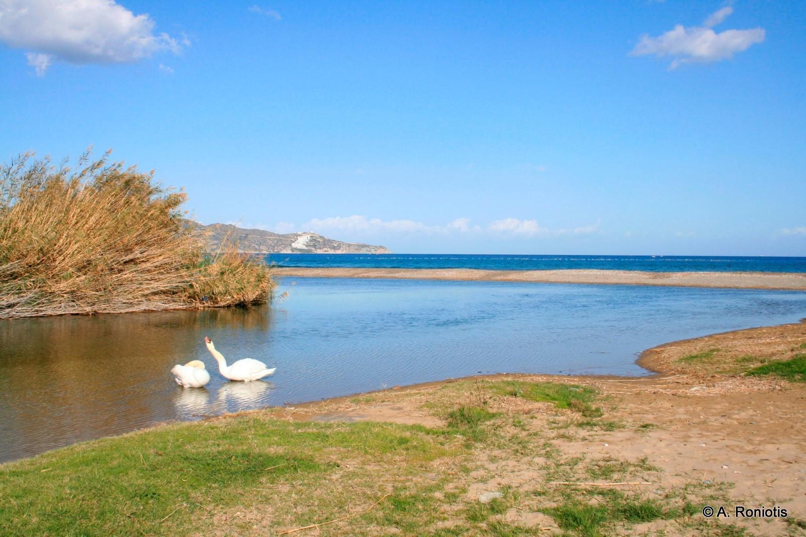 ⭐ Travel Guide for Island Crete ⛵, Greece - Ammoudara beach