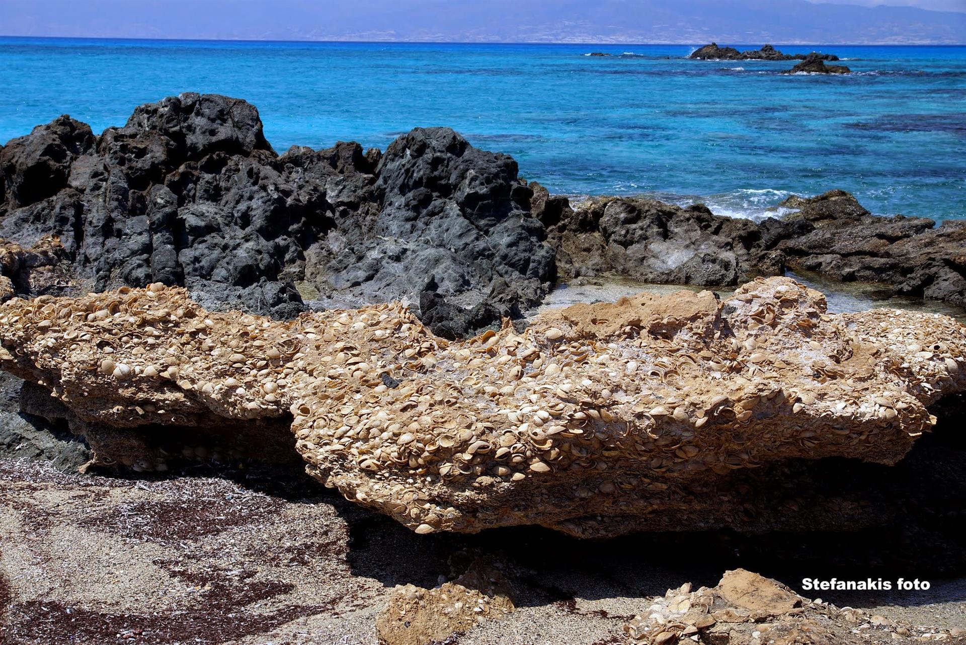 ⭐ Travel Guide for Island Crete ⛵, Greece - Shell Fossils