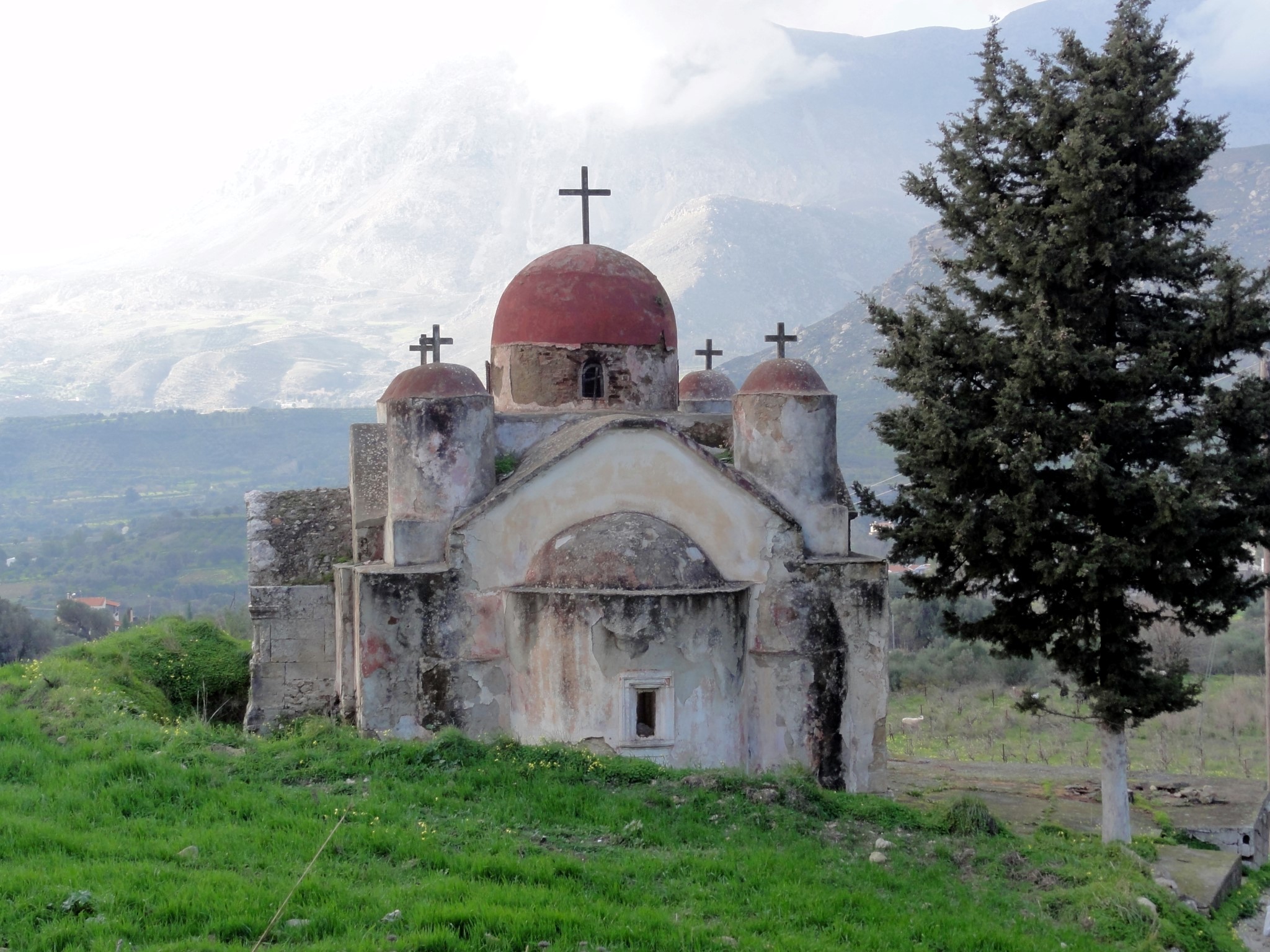 ⭐ Travel Guide for Island Crete ⛵, Greece - Panasos olive tree