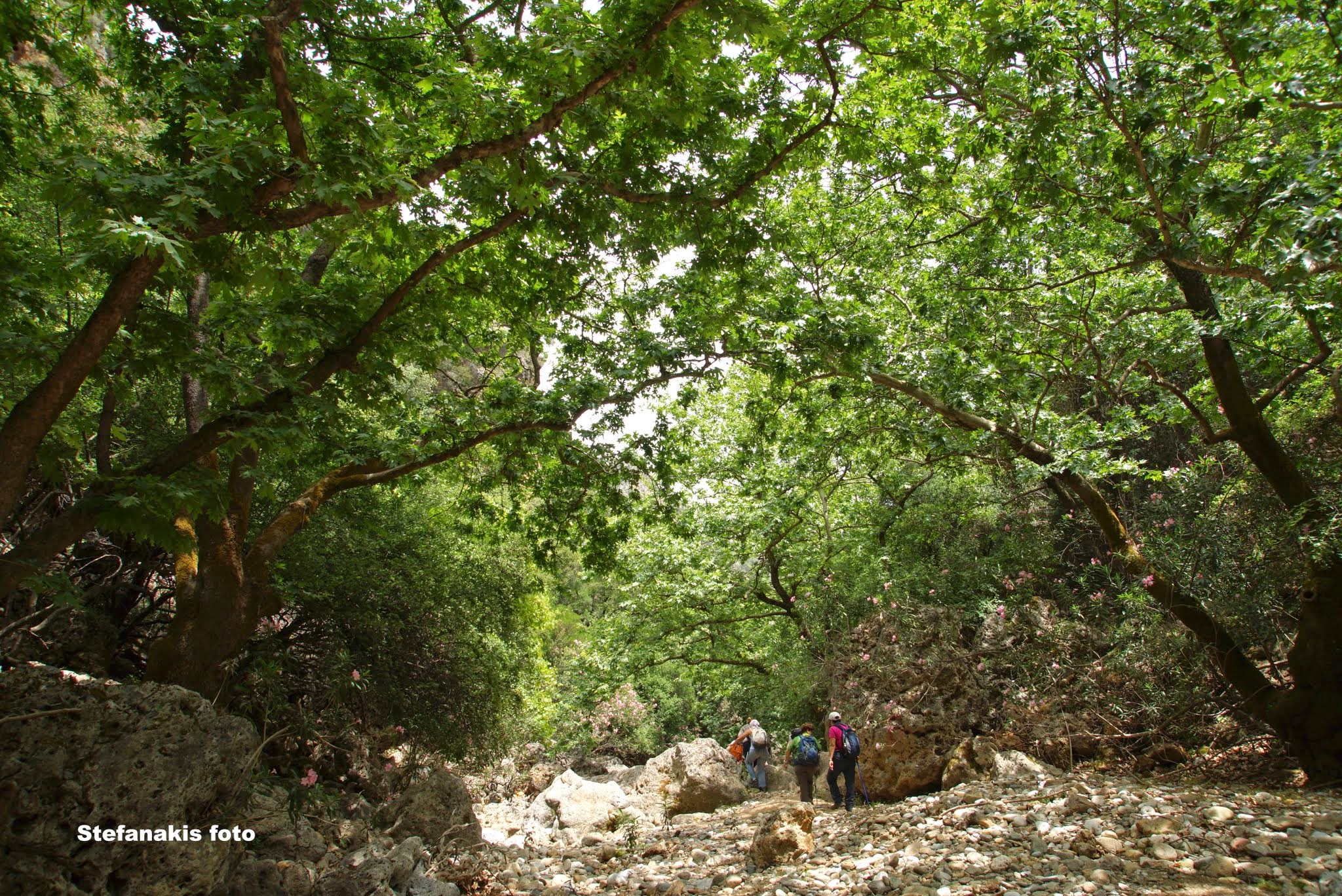 ⭐ Travel Guide for Island Crete ⛵, Greece - Diktamos Gorge