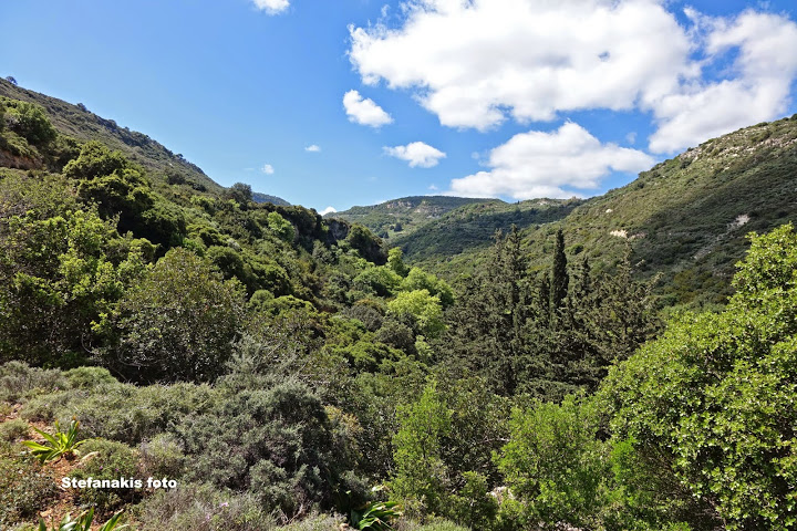 ⭐ Travel Guide for Island Crete ⛵, Greece - Arkadi Gorge