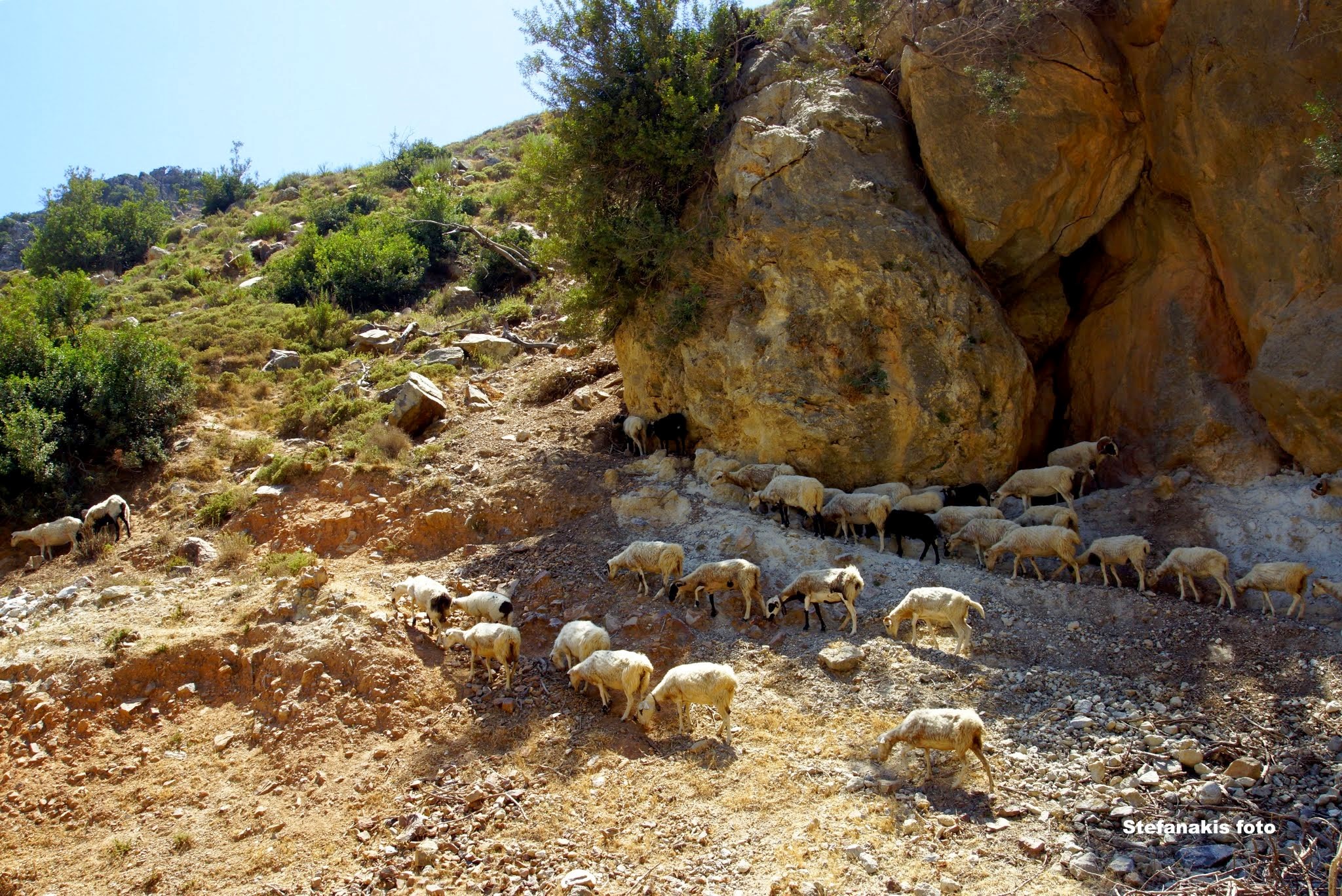 ⭐ Travel Guide for Island Crete ⛵, Greece - Prasses Gorge