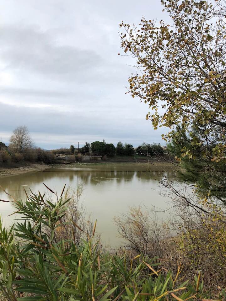 ⭐ Travel Guide for Island Crete ⛵, Greece - Livada Lake