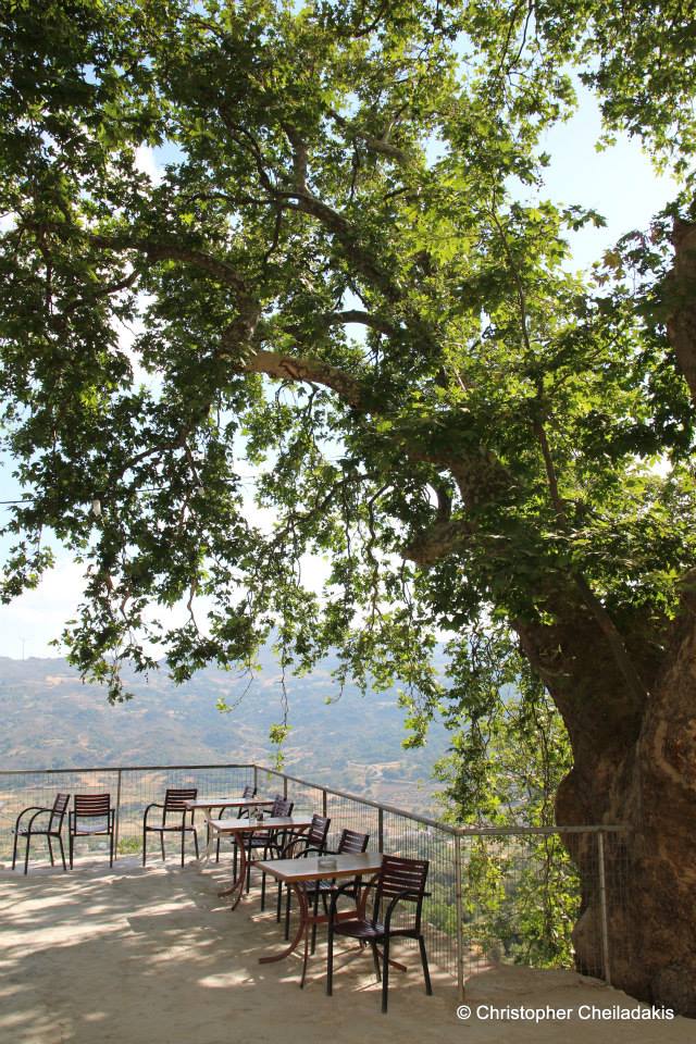 ⭐ Travel Guide for Island Crete ⛵, Greece - Spili - Kedros- Gerakari