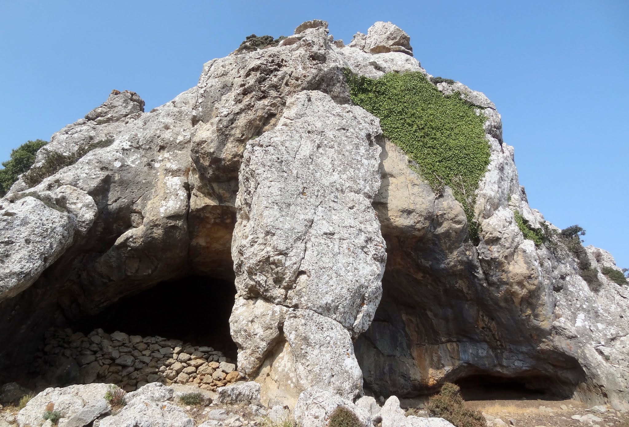 ⭐ Travel Guide for Island Crete ⛵, Greece - Aravanes Wood